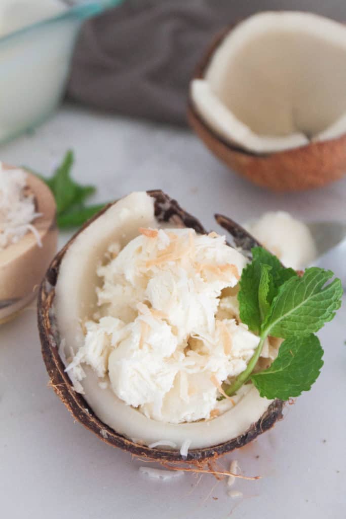 No Churn Creamy Coconut Ice Cream | Wanderzest